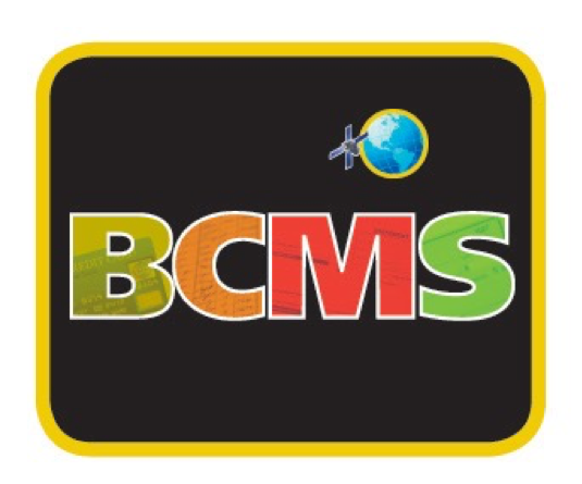 BCMS Portal - Financial Recovery Strategies